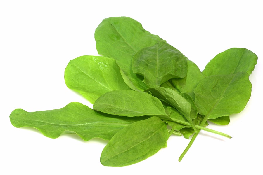 Sorrel: Kitchen Basics - Harvest to Table